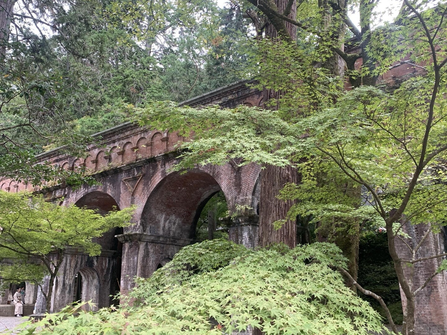 日没 南禅寺から大文字山ピストン / hikkyさんの大文字山・如意ヶ嶽・稲荷山の活動データ | YAMAP / ヤマップ