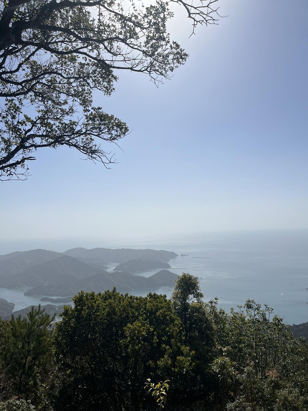 大人(おっさん)の遠足 / yattinさんの高山の活動データ | YAMAP / ヤマップ