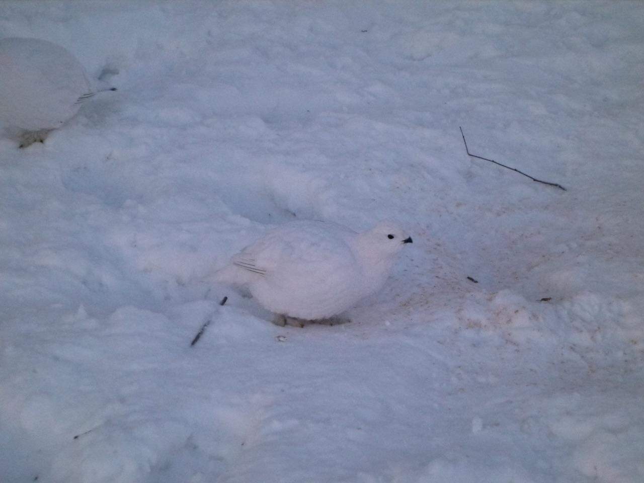 NAKAのページ | YAMAP / ヤマップ