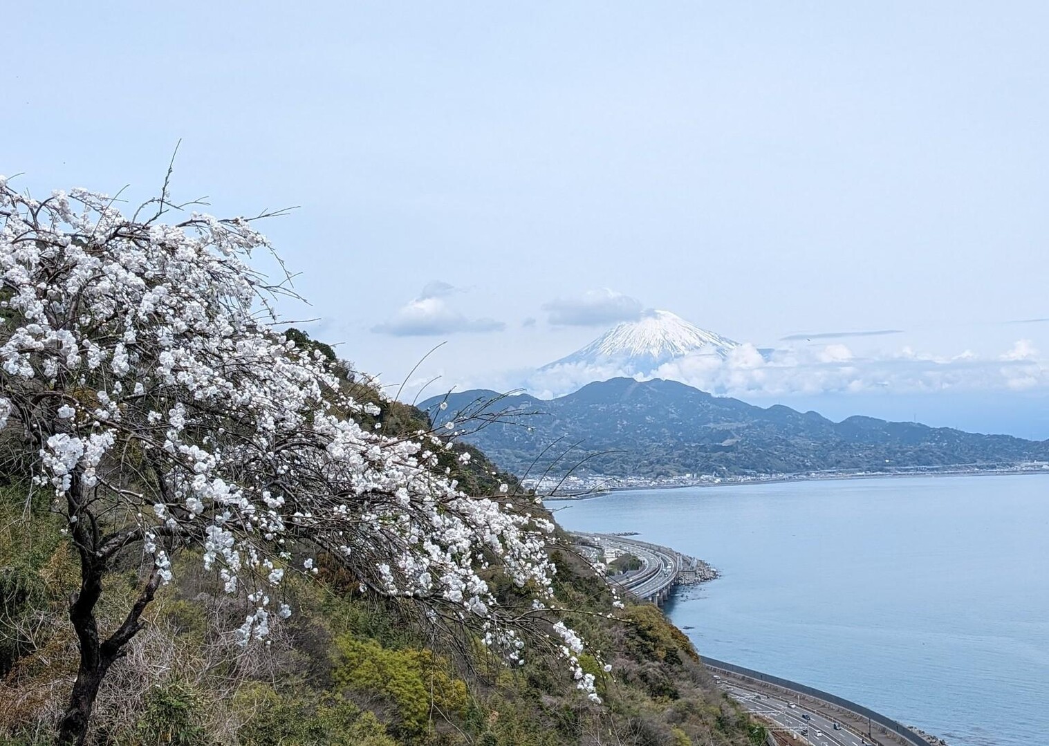 ウォーキング「浜石岳」 / えんしゅうmmさんの薩埵峠（薩た峠・サッタ峠）・浜石岳の活動データ | YAMAP / ヤマップ