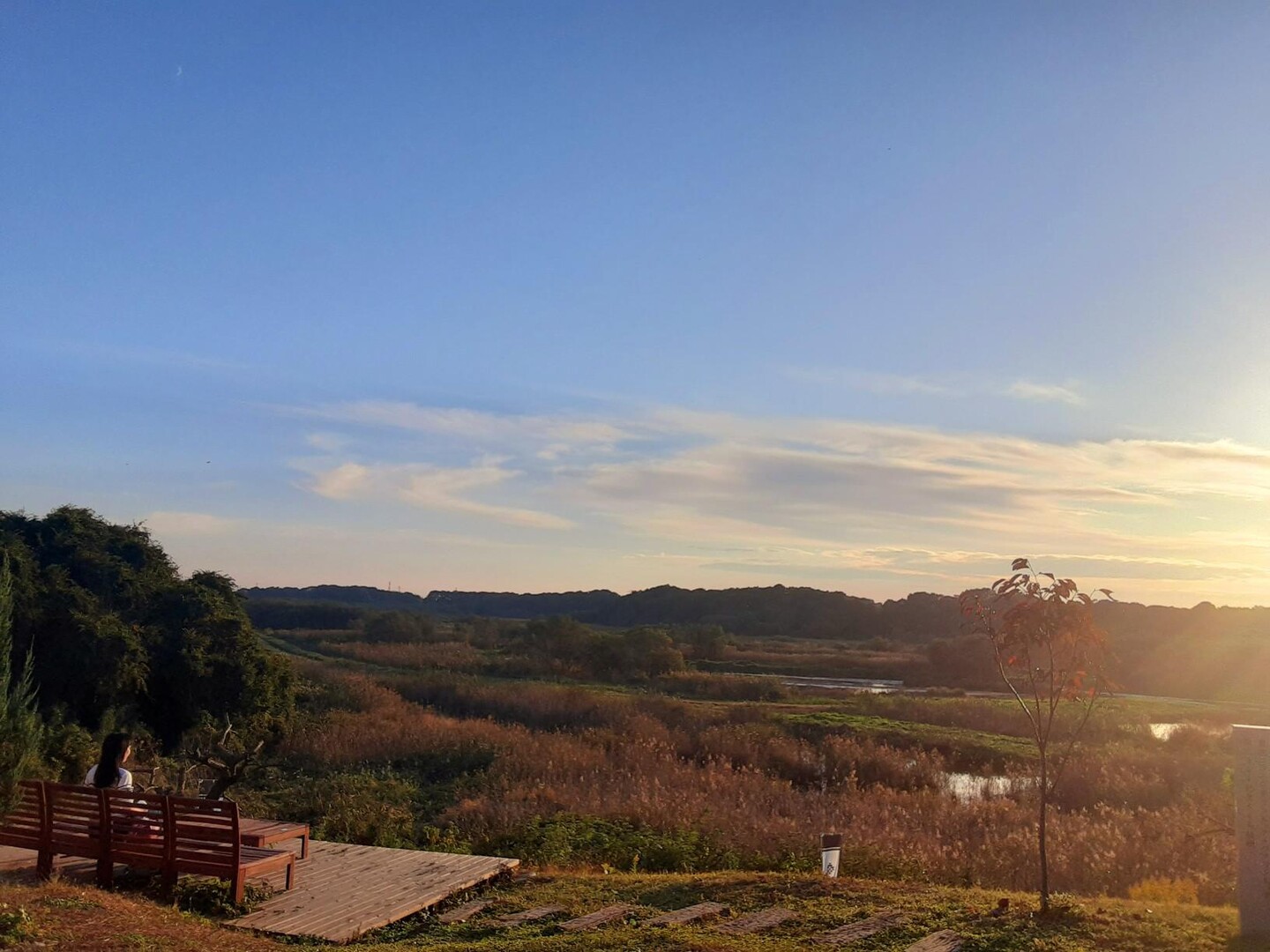 茨城県常総市 あすなろの里 眺めがとって... / mokoさんのモーメント | YAMAP / ヤマップ