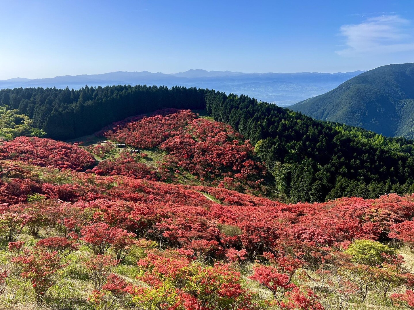 大和葛城山 / kane-yanさんの葛城古道の活動データ | YAMAP / ヤマップ