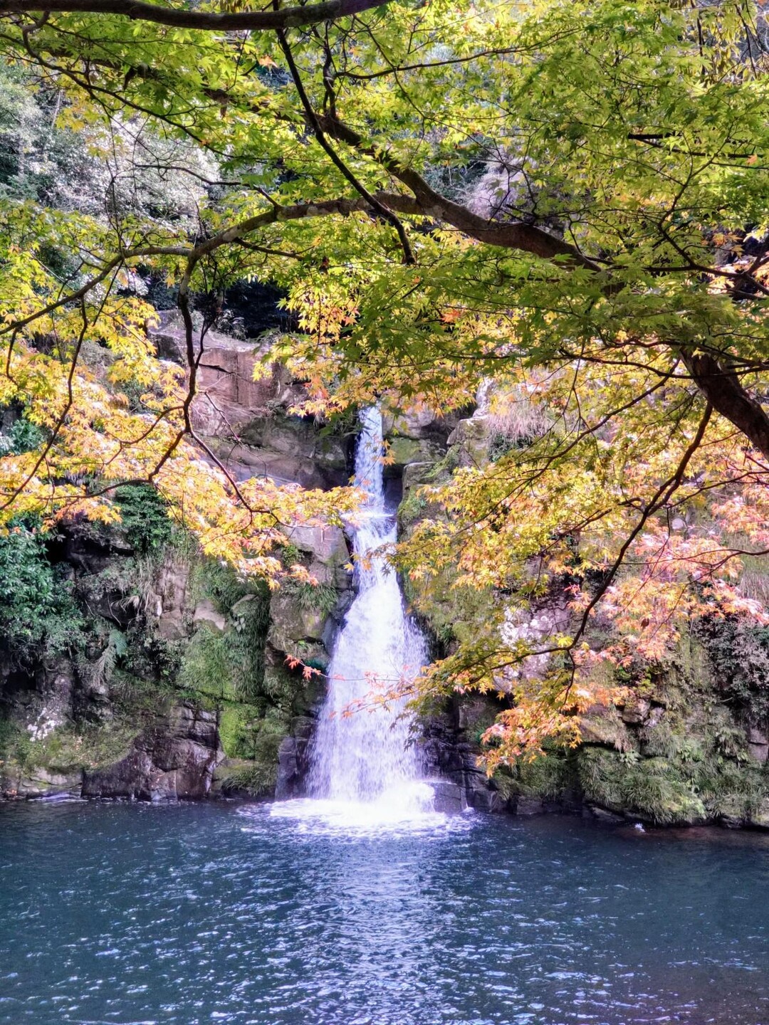 ⌛残り少ない🍁秋を探しに🔍② / Re（陽だまり）さんのモーメント | YAMAP / ヤマップ