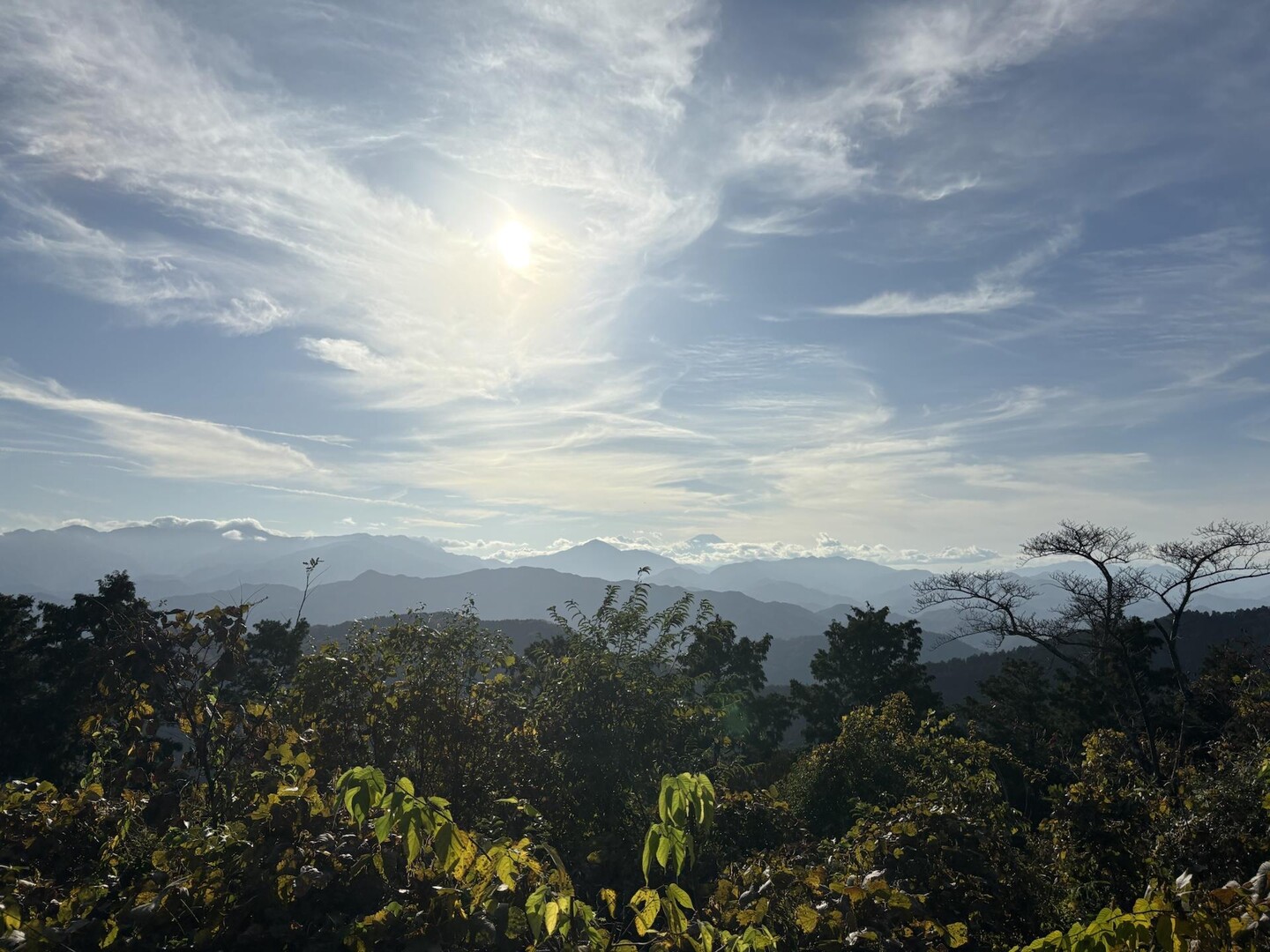 2歳7ヶ月 神変山・高尾山 / Nero-Piさんの高尾山・陣馬山・景信山の活動データ | YAMAP / ヤマップ