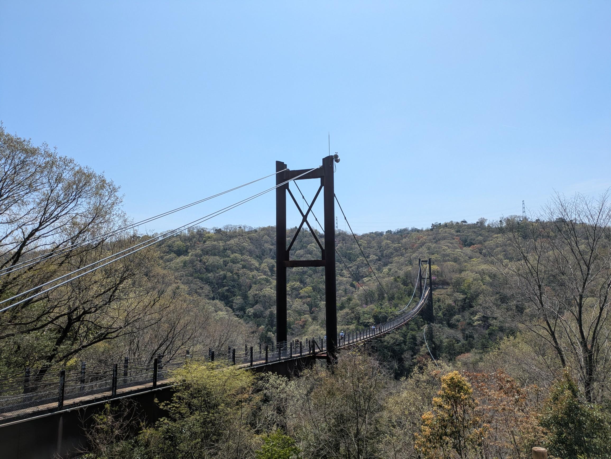 馬が嶺・日南山・白峯250412 / keyさんの交野山・国見山の活動データ | YAMAP / ヤマップ