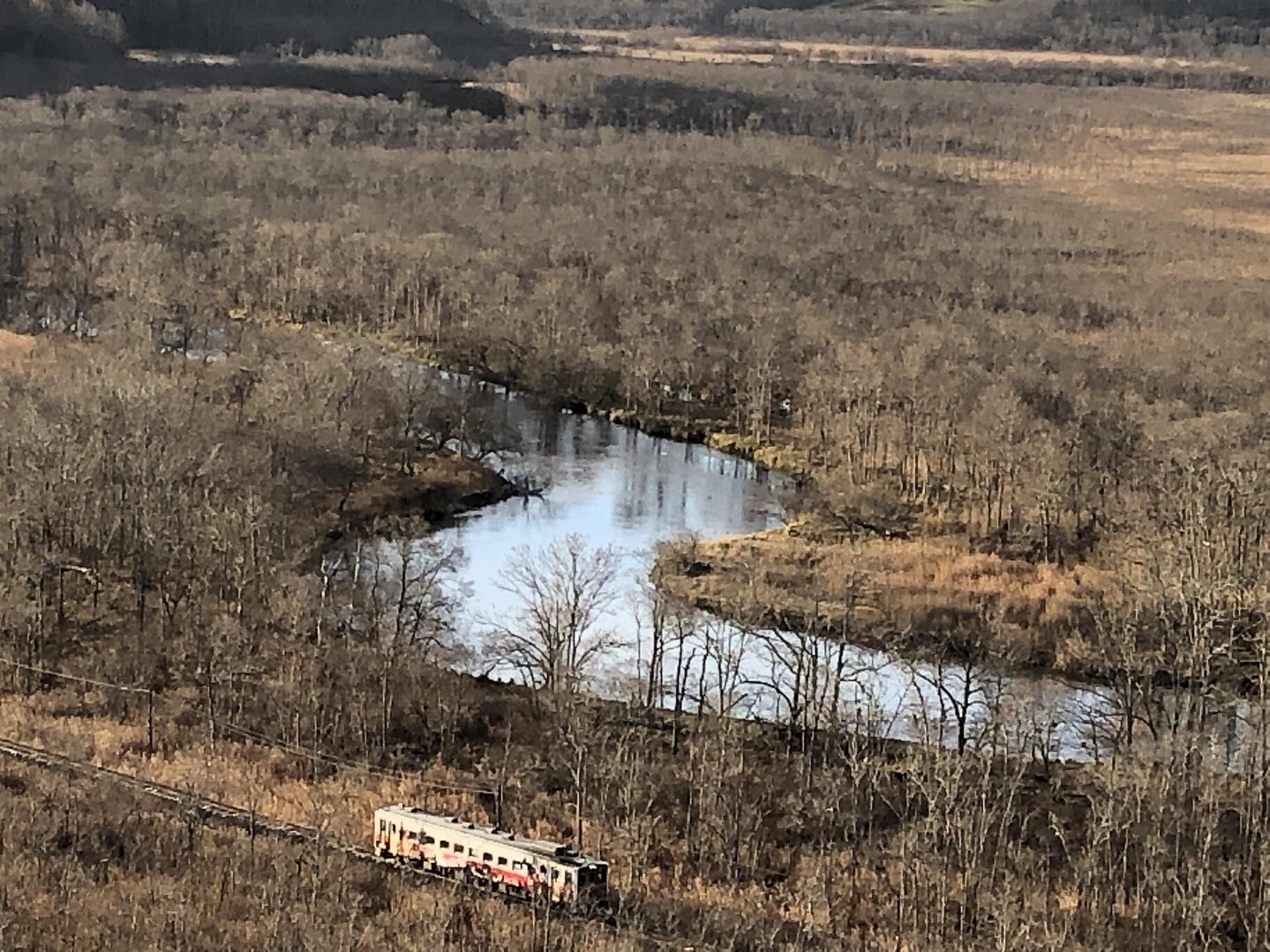 釧路湿原お散歩 / owl 🦉さんのウォーキングの活動データ | YAMAP / ヤマップ