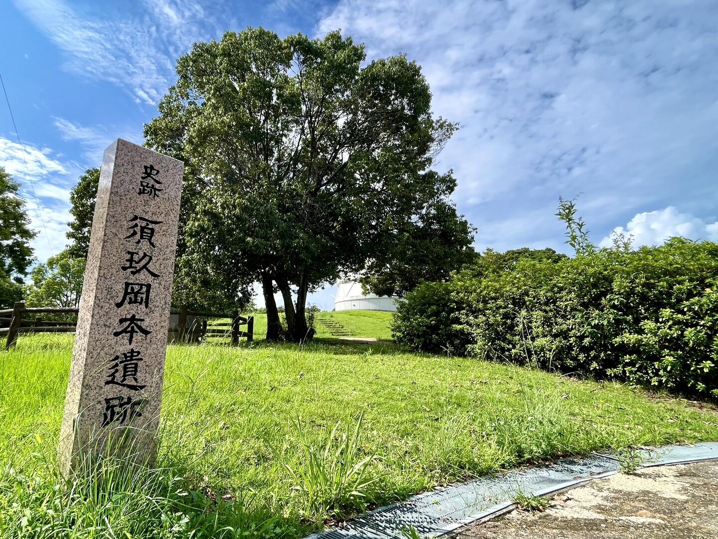 みーつけた((≖֊≖)【岡本山】 / pu_kaoさんの【公式】福岡市（防災情報含む）の活動データ | YAMAP / ヤマップ