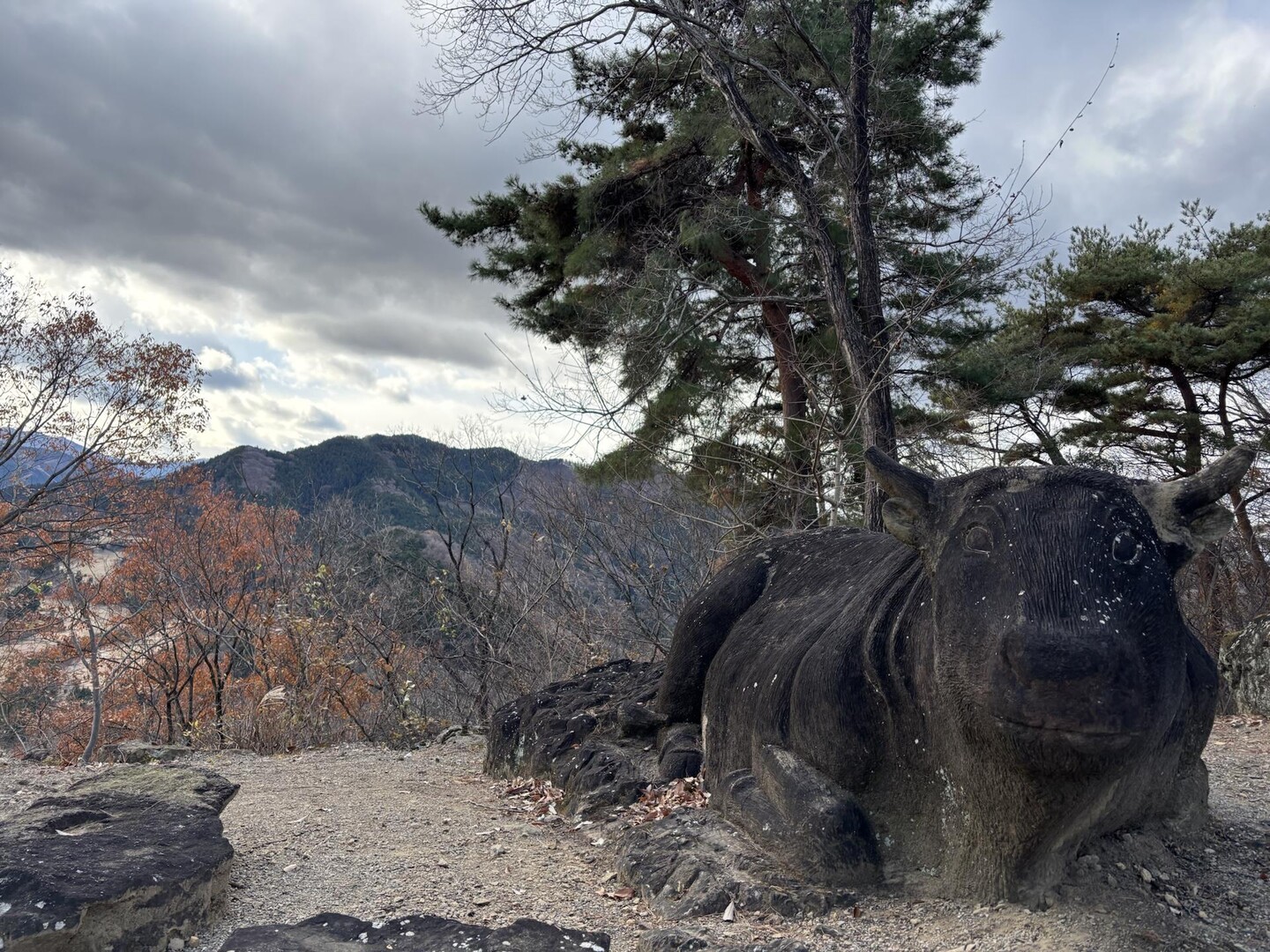 牛伏山 北風に負けず5.4km歩 / ヒルズさんの牛伏山・城山の活動データ | YAMAP / ヤマップ