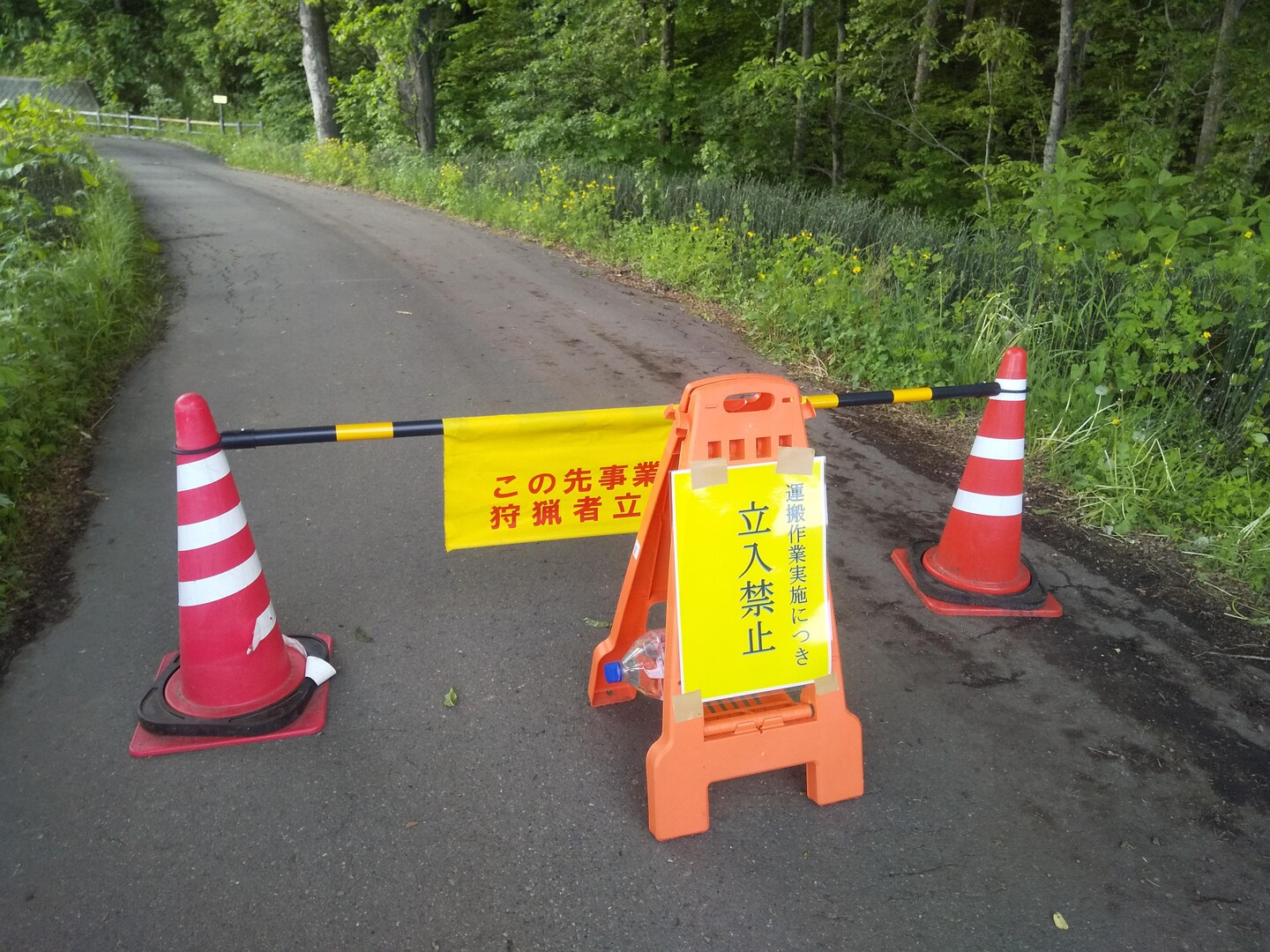 国見山ダメ → オサルシ林道へ / AKKIさんの帯広市の活動データ | YAMAP / ヤマップ