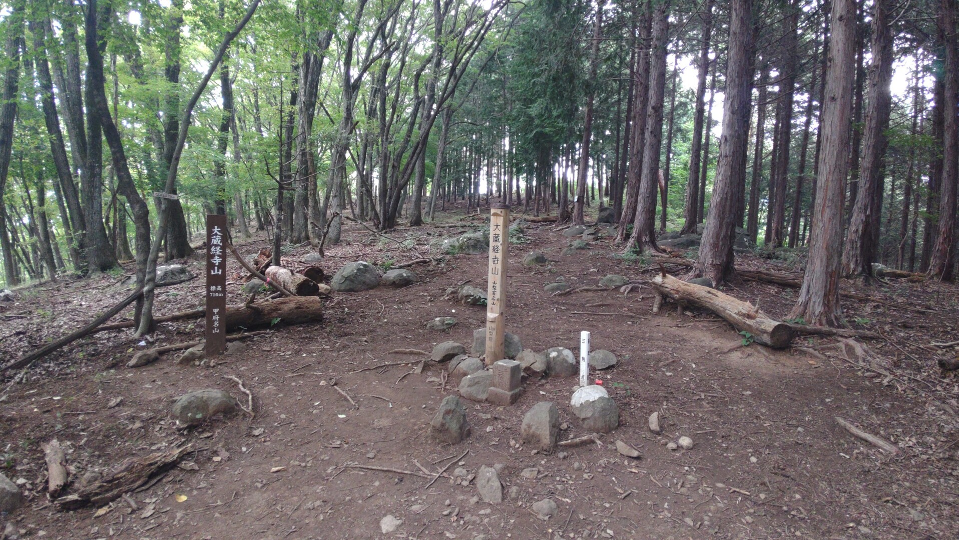 大蔵経寺山 / tkwさんの甲府市の活動データ | YAMAP / ヤマップ