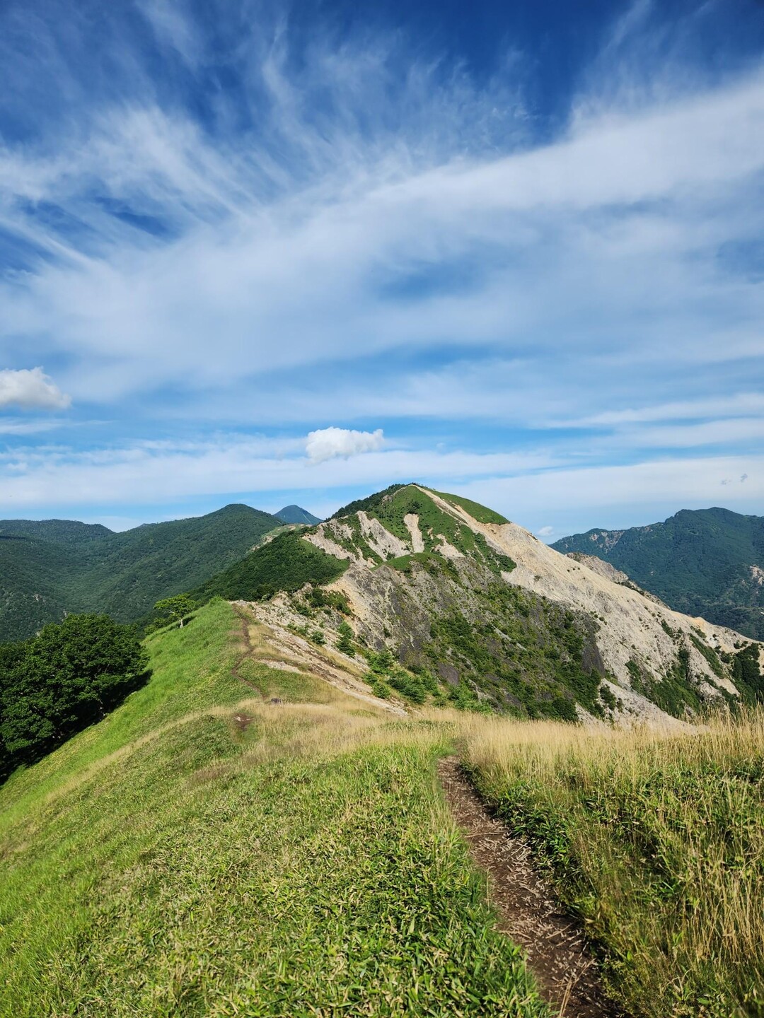 中倉山・沢入山 / yoyoさんの社山・半月山の活動データ | YAMAP / ヤマップ