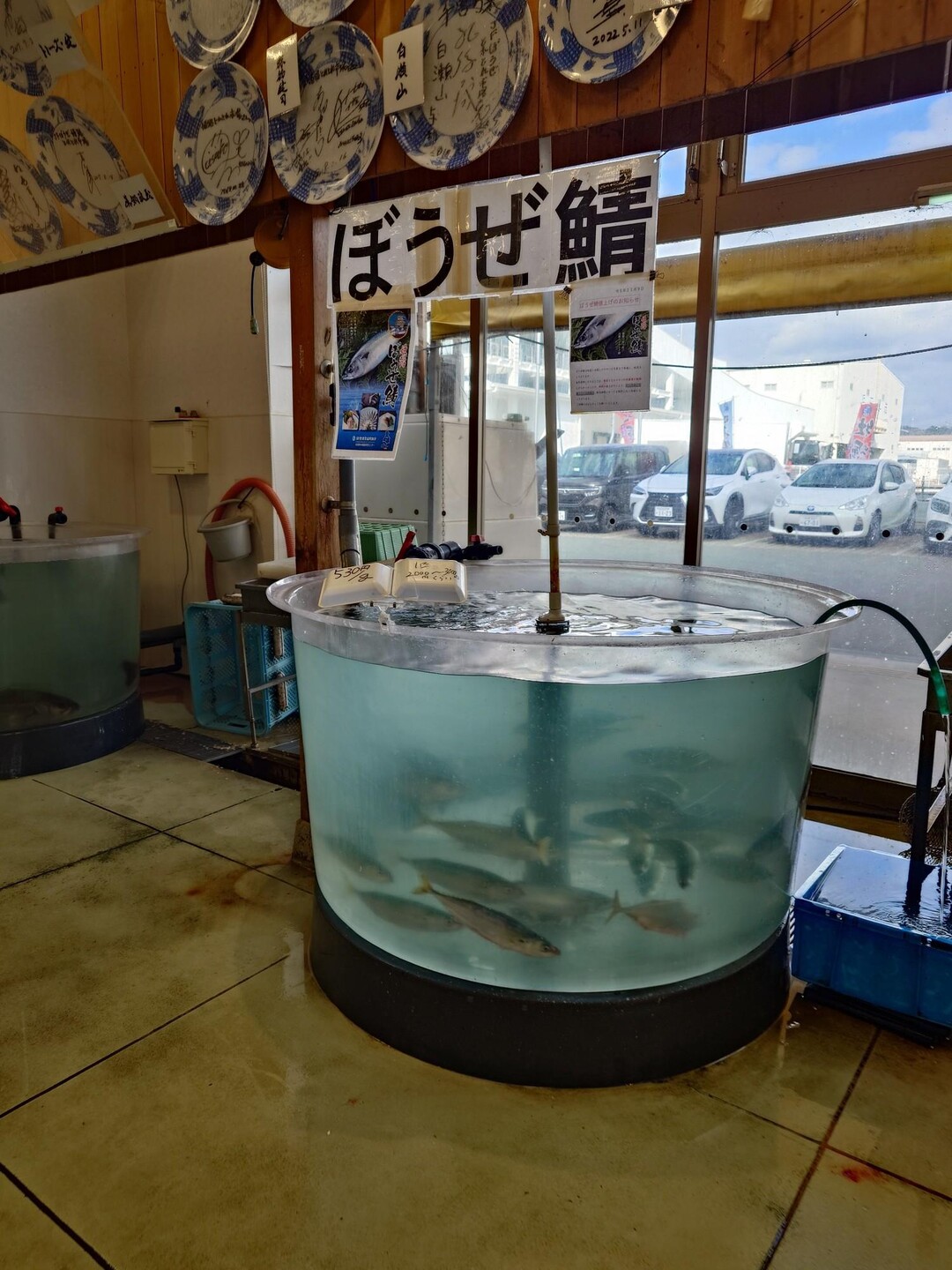 本日は牡蠣ではなく☝️ おなじみのサバ ... / ずっくんさんのモーメント | YAMAP / ヤマップ