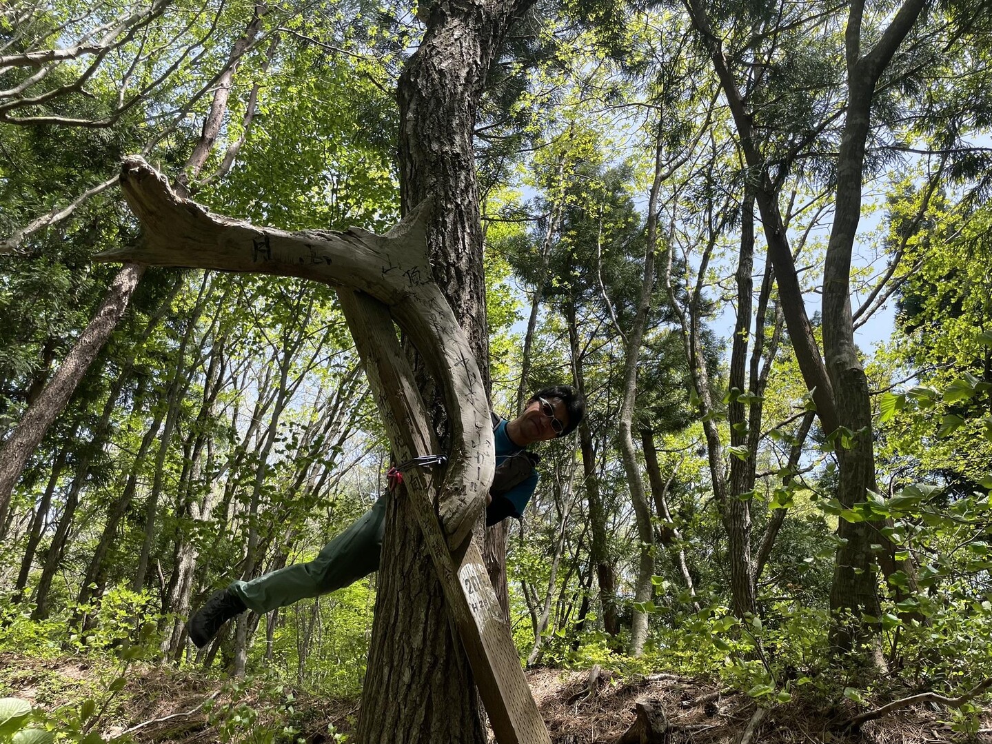 月山で山ガール遭遇 / junpeiさんの羽山・羽黒山・月山の活動データ | YAMAP / ヤマップ