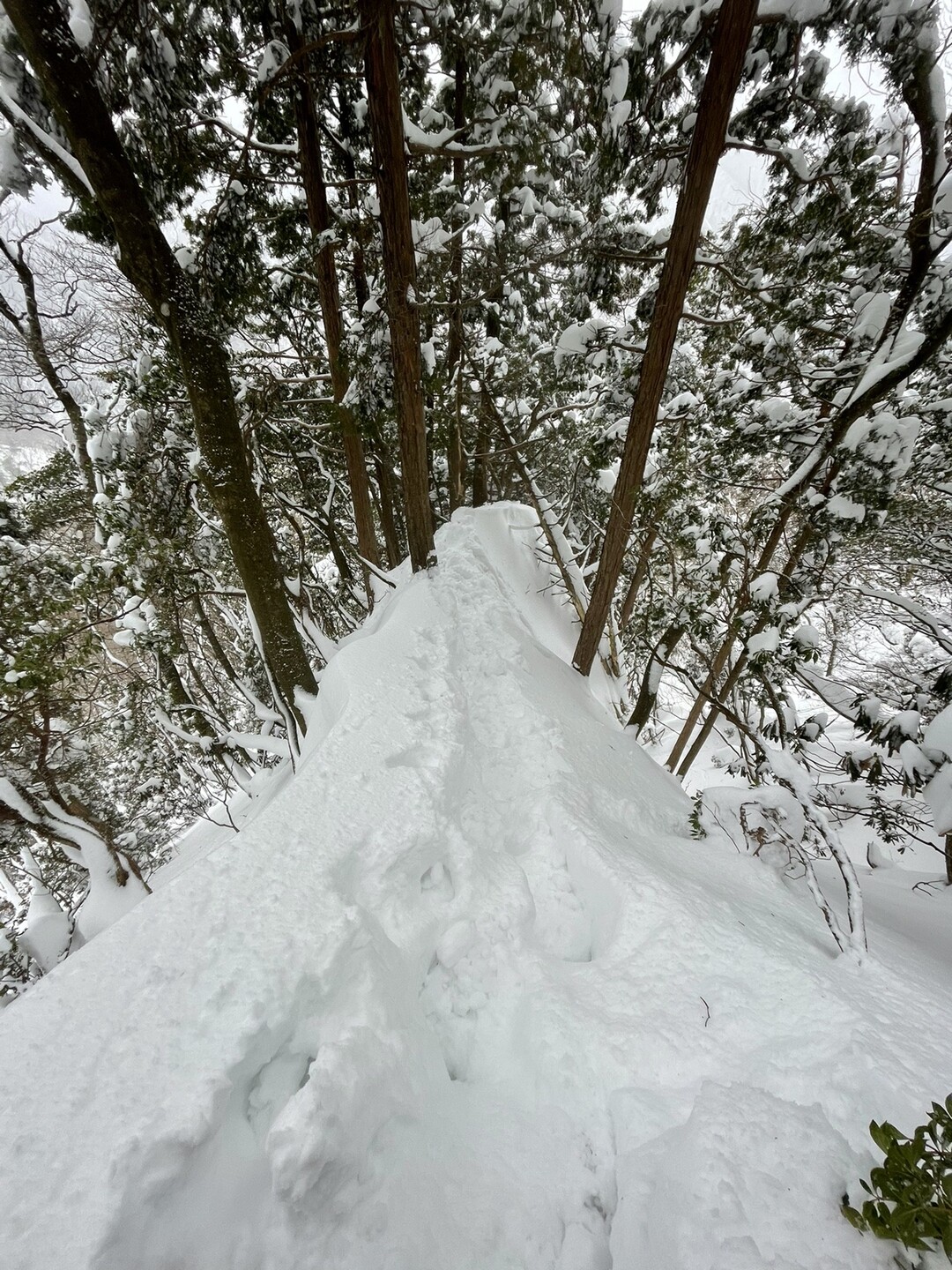 イブネ。今度こそ、ちゃんとイブネ。 / nabettiさんの釈迦ヶ岳の活動データ | YAMAP / ヤマップ