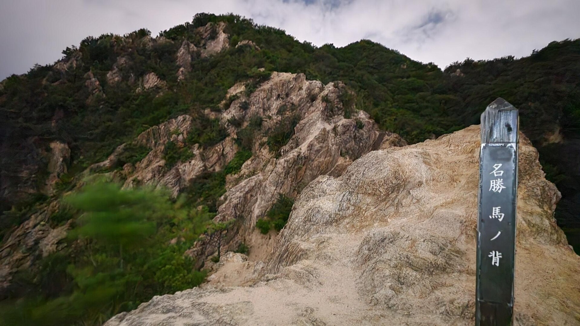 ぼくのなつやすみ😇ソロ六甲全山縦走😇😇 / pii---369さんの六甲山・長峰山・摩耶山の活動データ | YAMAP / ヤマップ