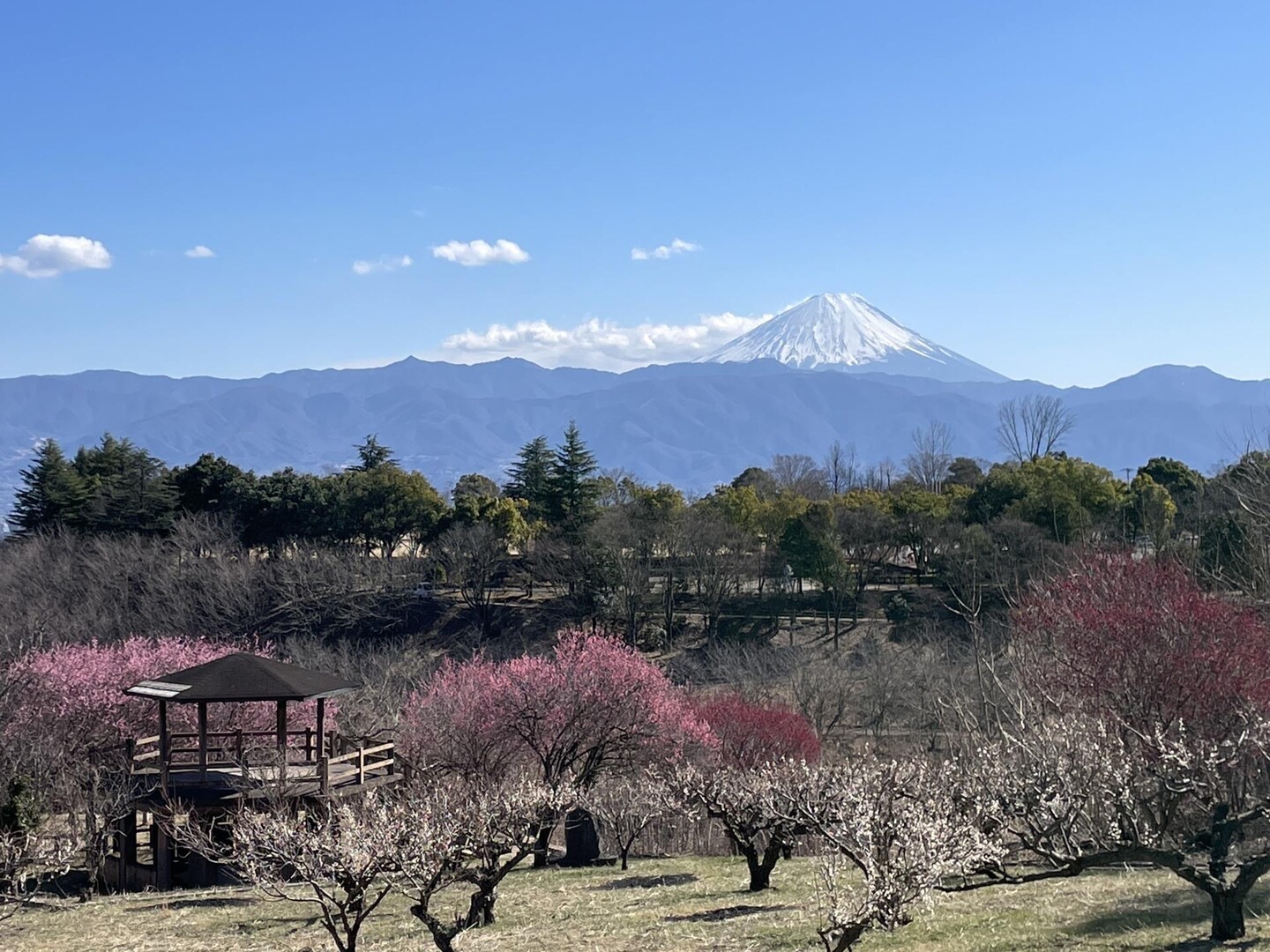 梅の里クロカンコース Jog.🏃 / Tたいむ ☕️さんの甲州街道（甲府柳町宿～韮崎宿）の活動データ | YAMAP / ヤマップ