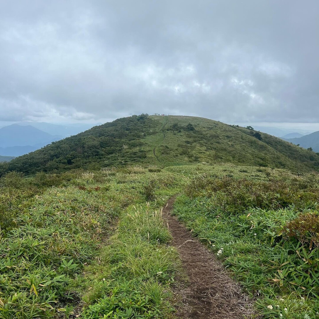 道後山 / jyamiさんのウォーキングの活動データ | YAMAP / ヤマップ