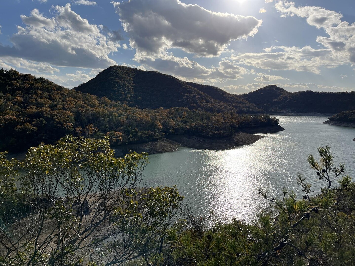 11月の三草山🍁 / masuminさんの三草山の活動データ | YAMAP / ヤマップ