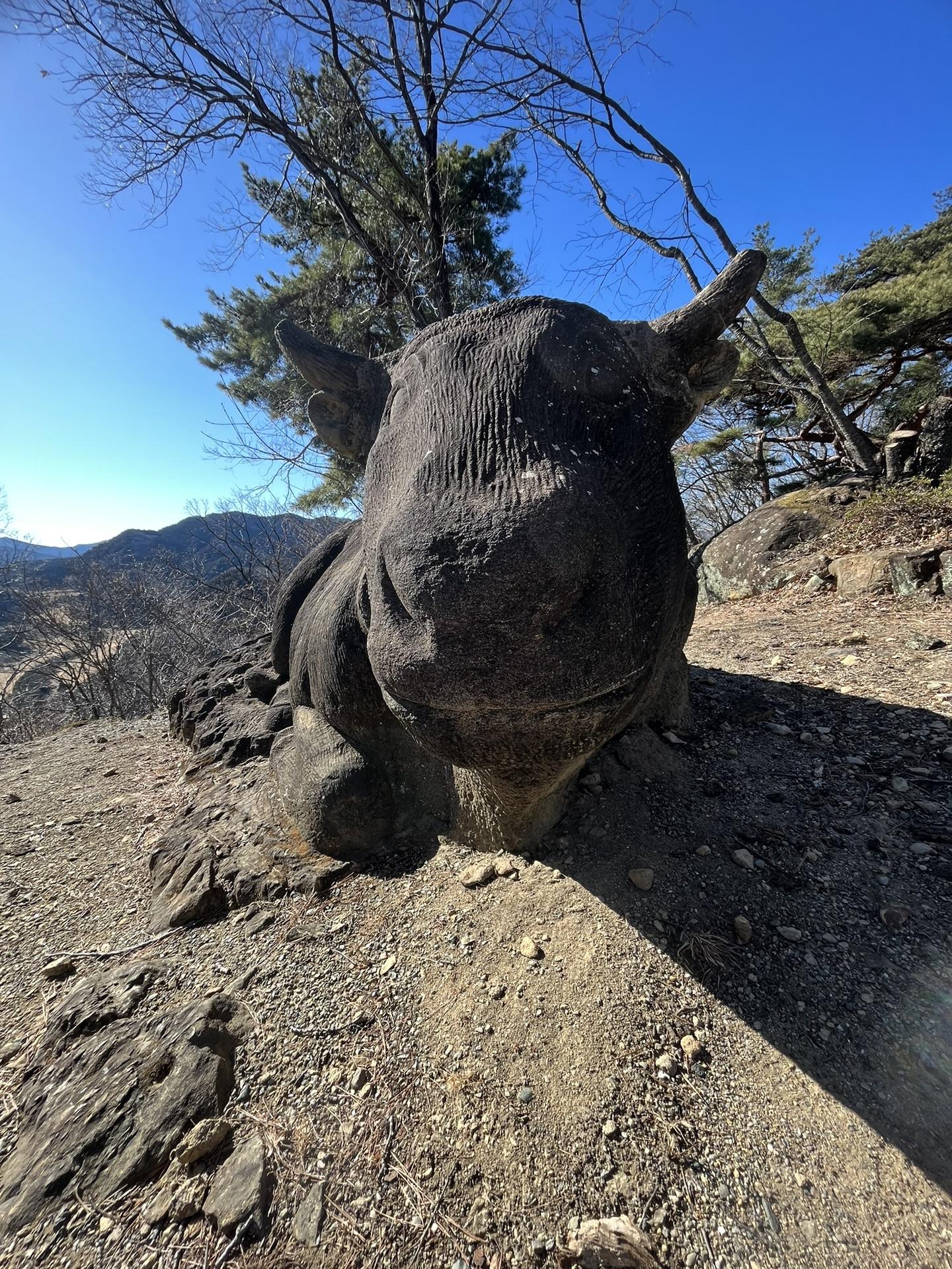 牛伏山へ🐾 / hachacha-umemeさんの牛伏山・城山の活動データ | YAMAP / ヤマップ