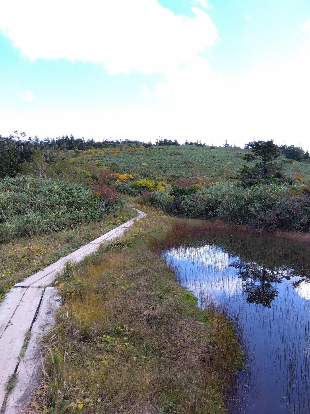 森吉山も紅葉開始 / Mari Lopezさんの森吉山の活動データ | YAMAP / ヤマップ