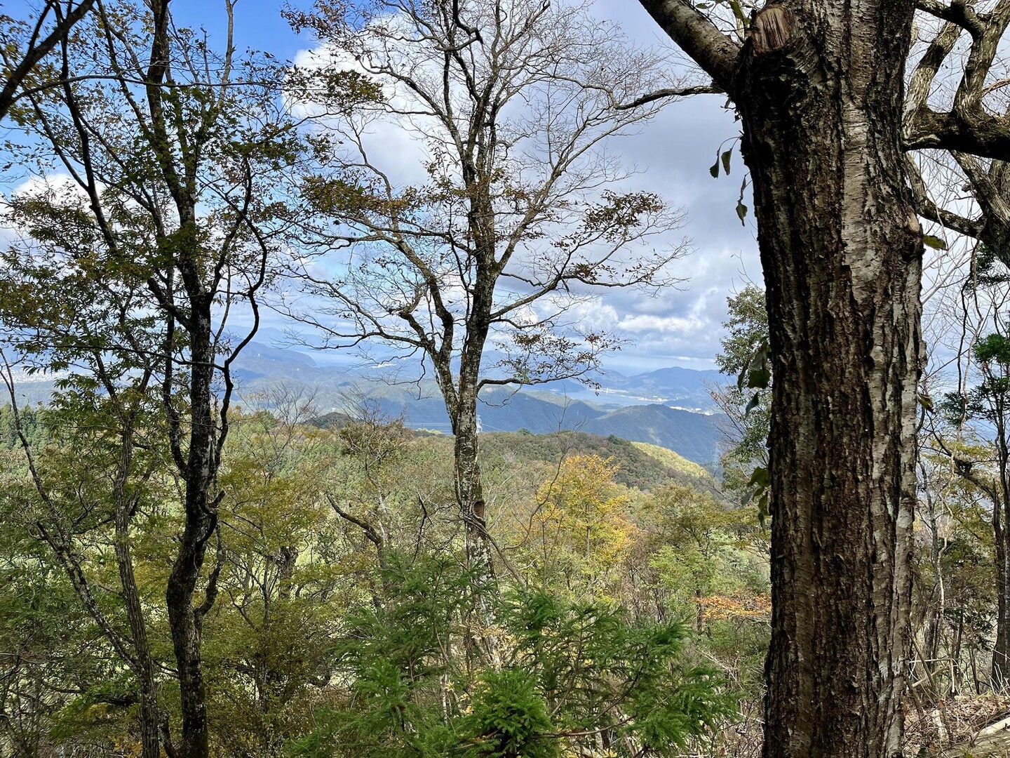関西百名山39座目『弥仙山』 / masuminさんの弥仙山の活動日記 | YAMAP / ヤマップ