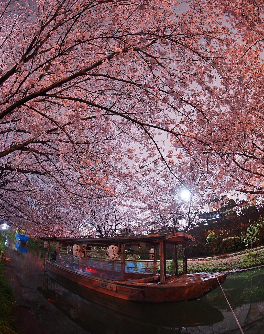 写真撮り過ぎて写真整理がめんどくせぇ～ ... / まっちゃんさんのモーメント | YAMAP / ヤマップ