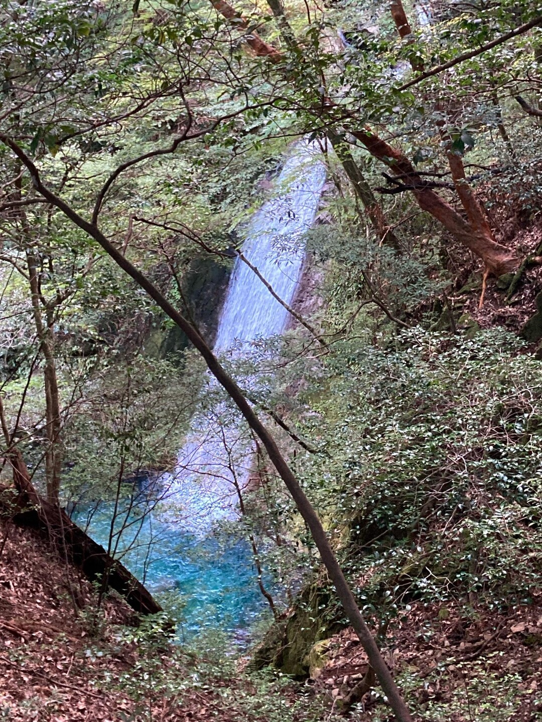 Toshio さんの投稿したフィールドメモ | YAMAP / ヤマップ