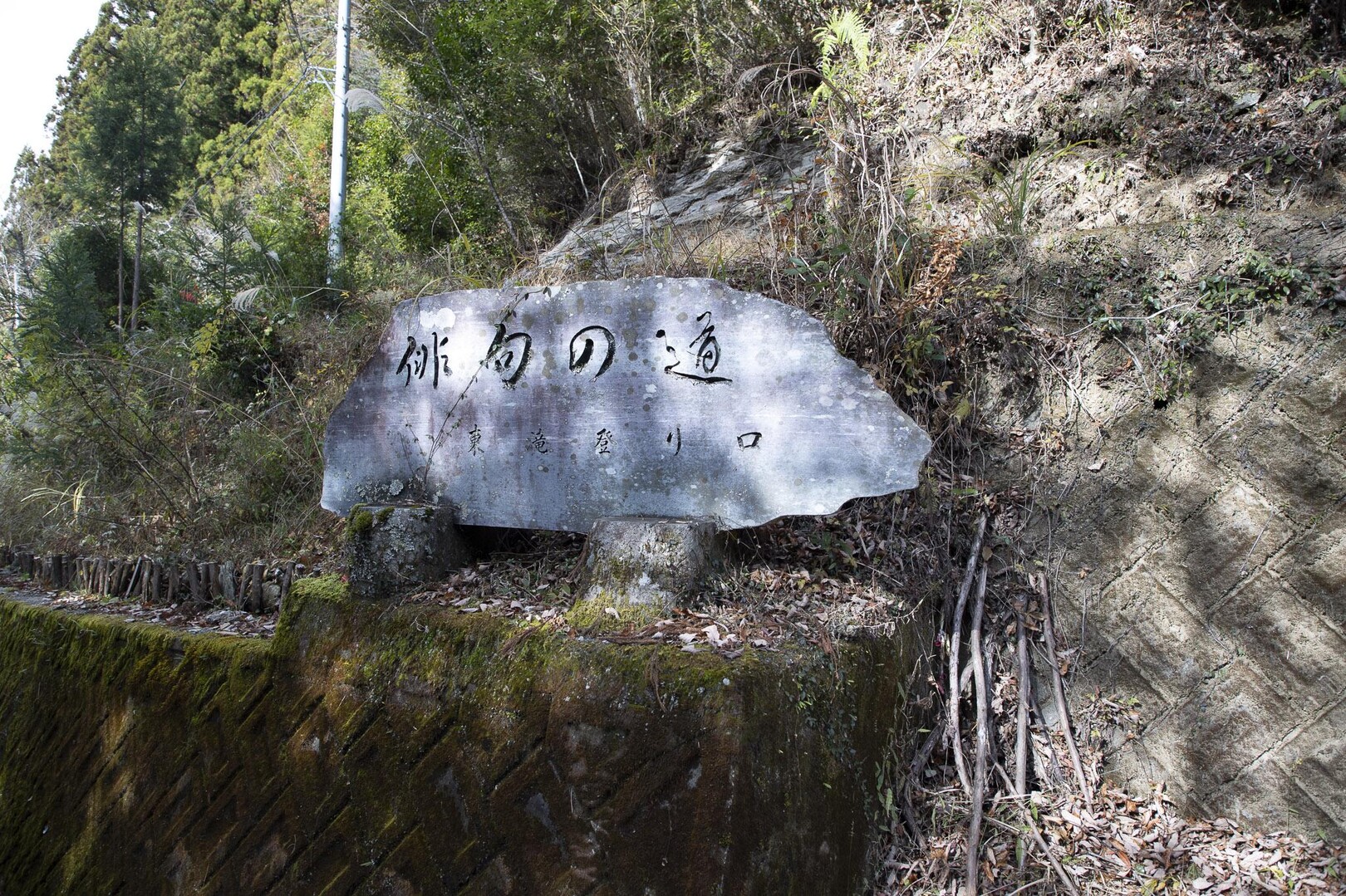程野の滝 / tshimaさんの稲叢山の活動データ | YAMAP / ヤマップ