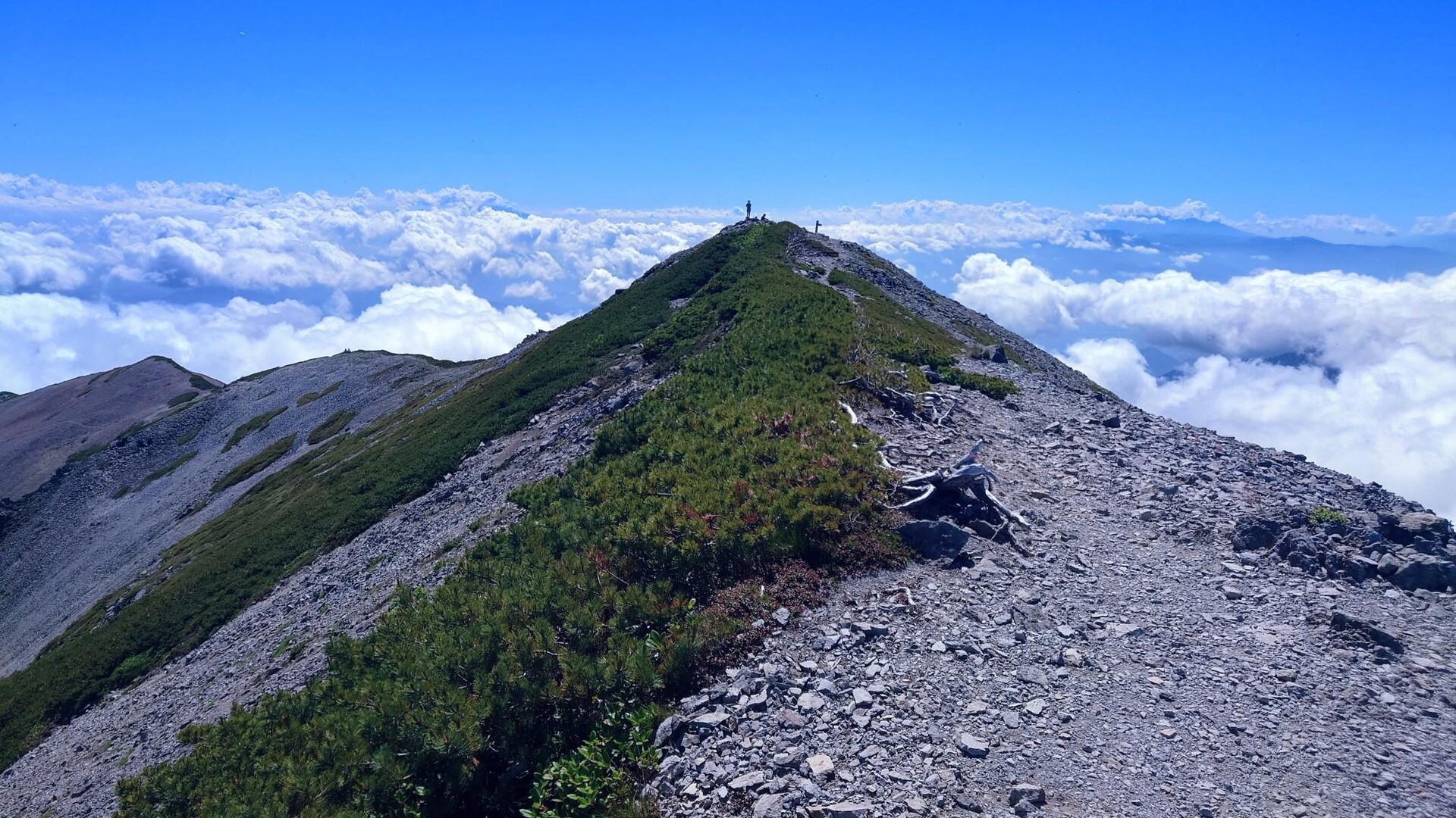 最高の1日 蓮華岳・針ノ木岳 / capetaさんの針ノ木岳・スバリ岳・船窪岳の活動データ | YAMAP / ヤマップ