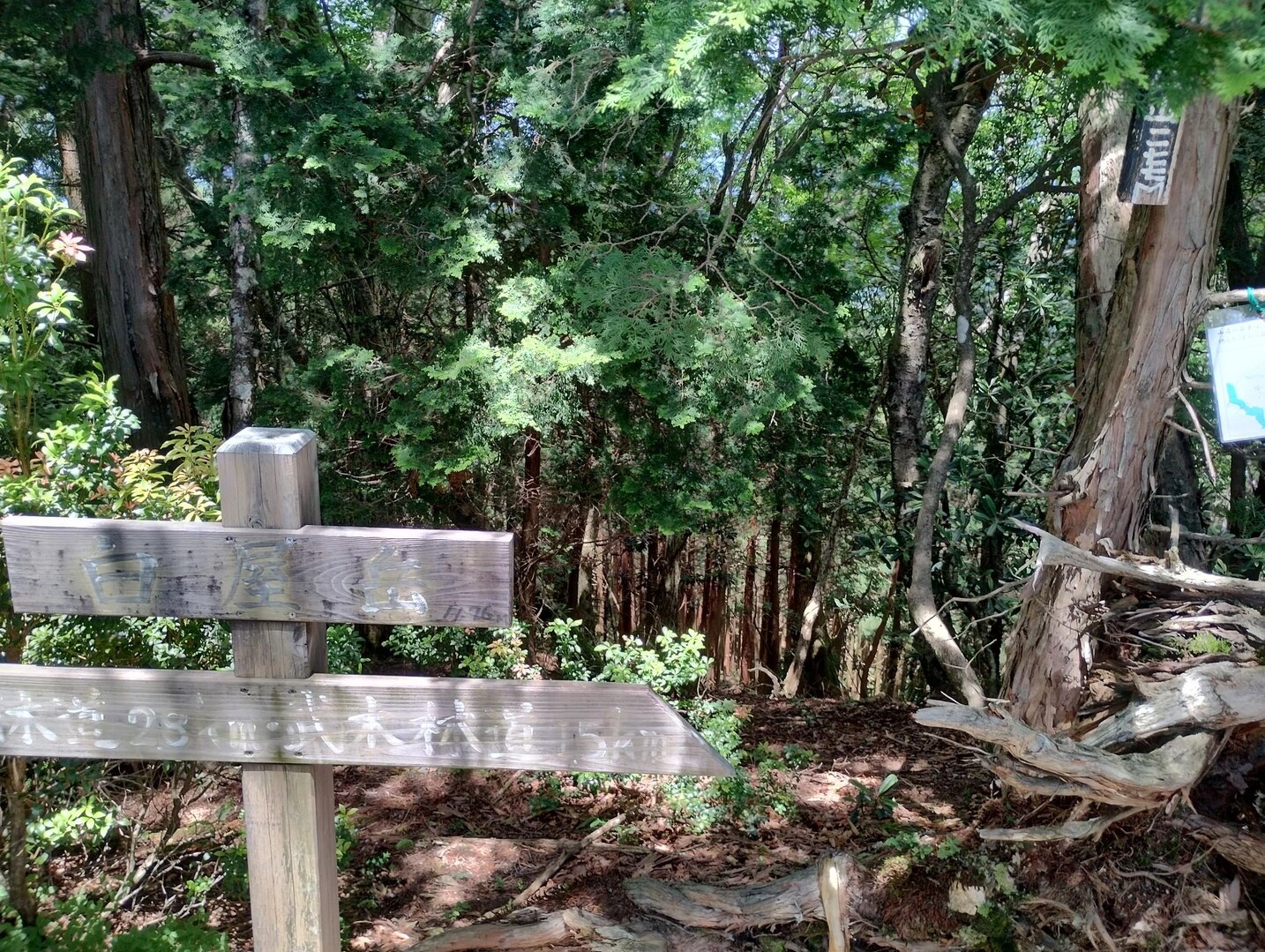 白屋岳 / small422さんの白屋岳の活動データ | YAMAP / ヤマップ