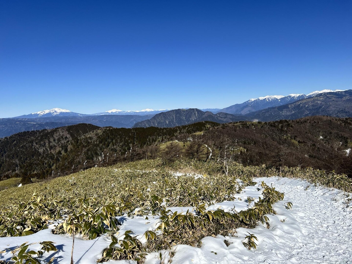 南沢山・横川山（湯舟沢山） / ZO-kunさんの恵那山・大判山・神坂山の活動データ | YAMAP / ヤマップ