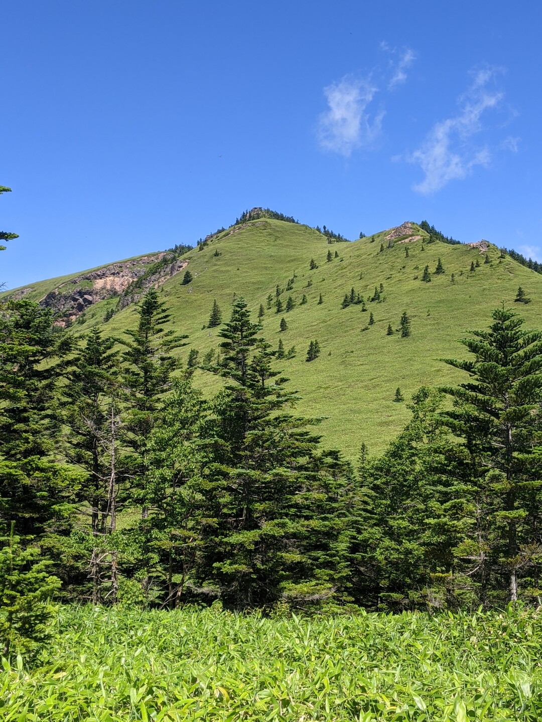 四阿山・根子岳 / バイクでGo！さんの四阿山・根子岳の活動データ | YAMAP / ヤマップ