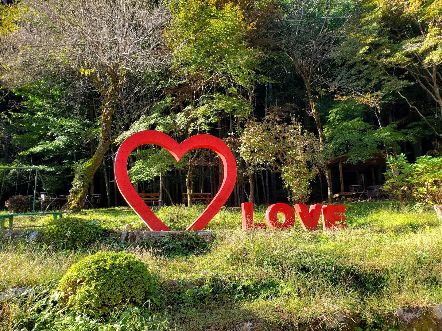 愛犬と関八州見晴台👀 in埼玉 / ななさんの関八州見晴台の活動データ | YAMAP / ヤマップ