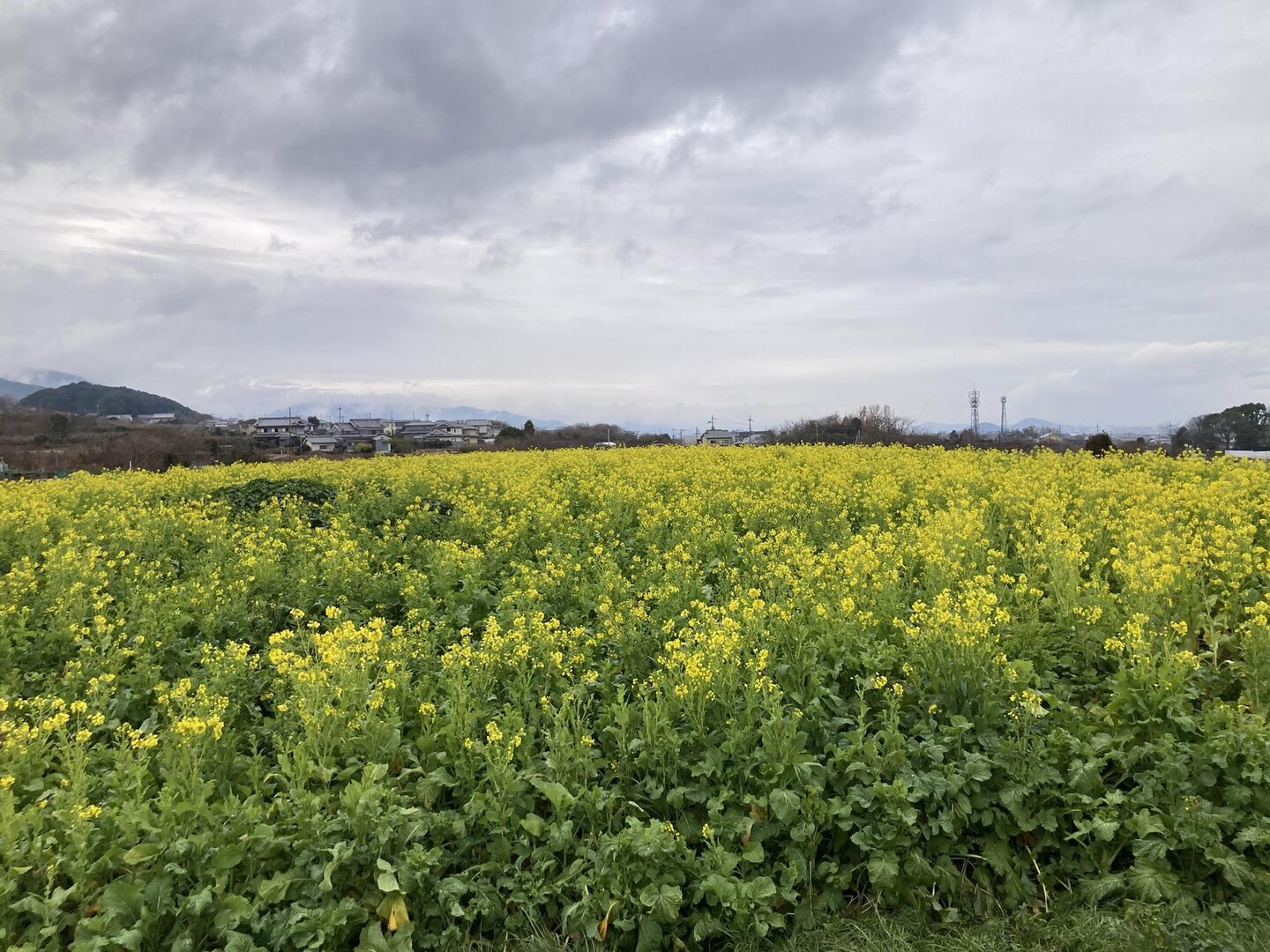 山の辺の道 / eriさんのウォーキングの活動データ | YAMAP / ヤマップ