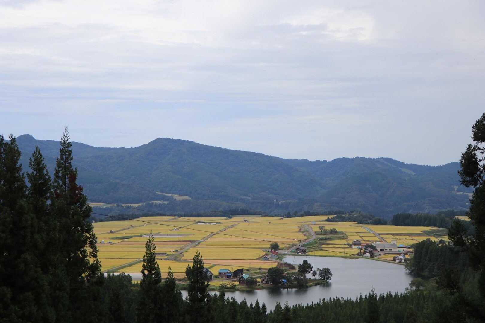 信越トレイル 関田峠〜秋山郷入り口からの秋山郷トレイル / odaさんの信越トレイル（森宮野原駅・結東・苗場山）の活動データ | YAMAP / ヤマップ