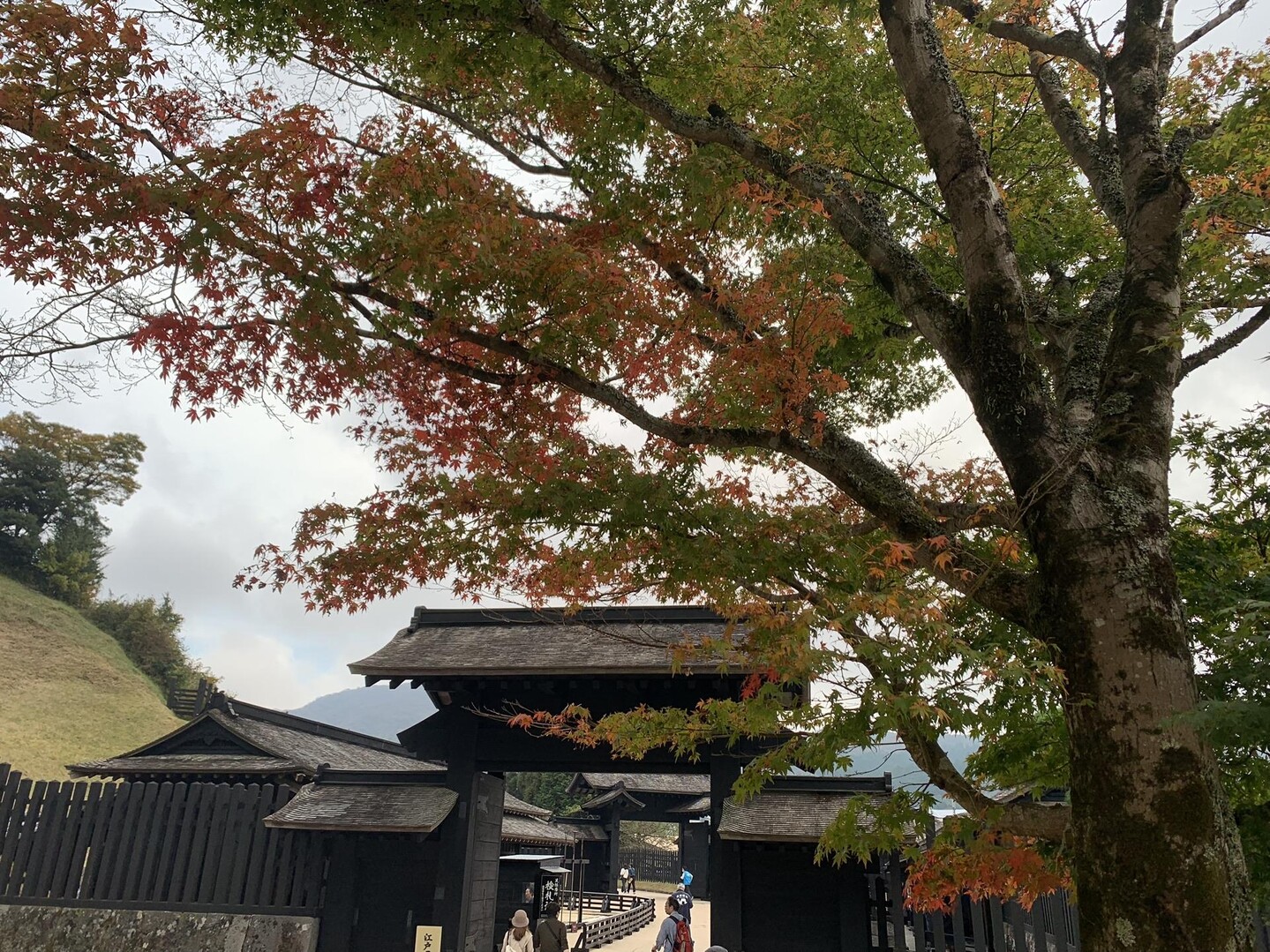 旧東海道を歩く⑪小田原駅から箱根関所 / soyさんの箱根山・神山の活動データ | YAMAP / ヤマップ