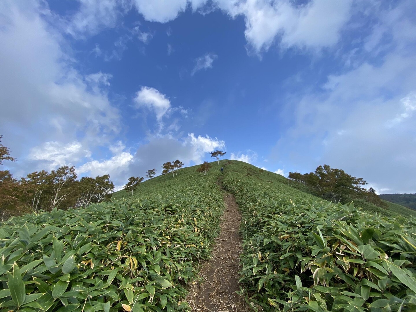 団体登山でイチャンコッペ山へGO‼️ / きんちゃんさんのイチャンコッペ山の活動データ | YAMAP / ヤマップ
