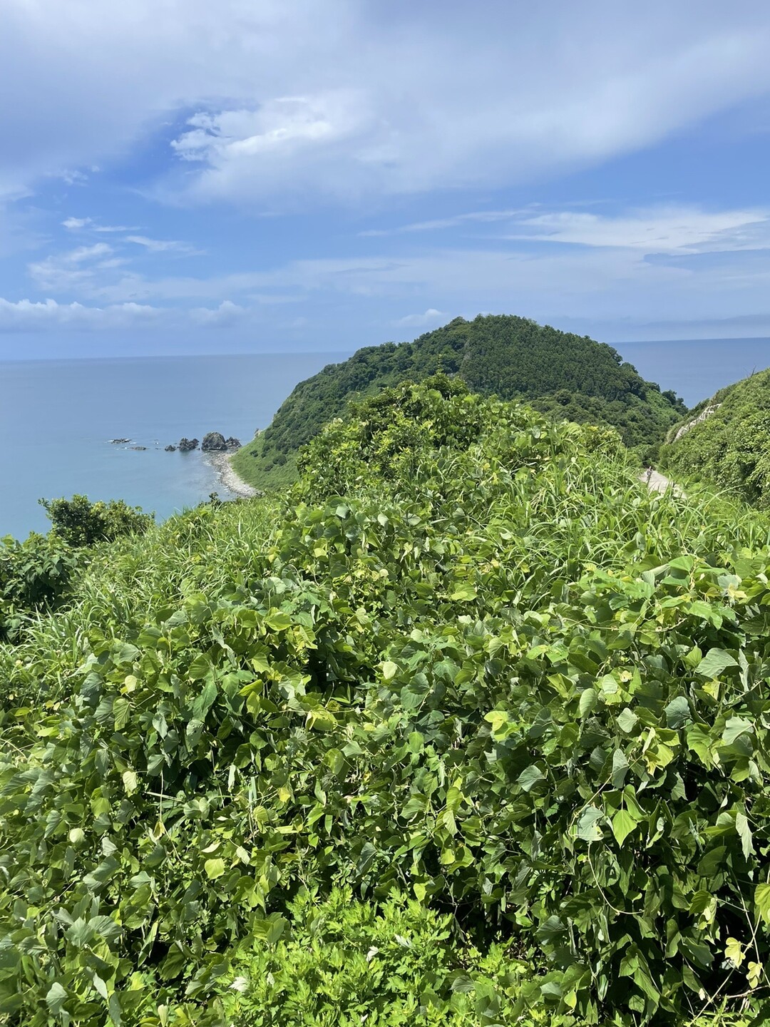 しま山100選 八幡山（粟島） / kobaさんの粟島の活動データ | YAMAP / ヤマップ