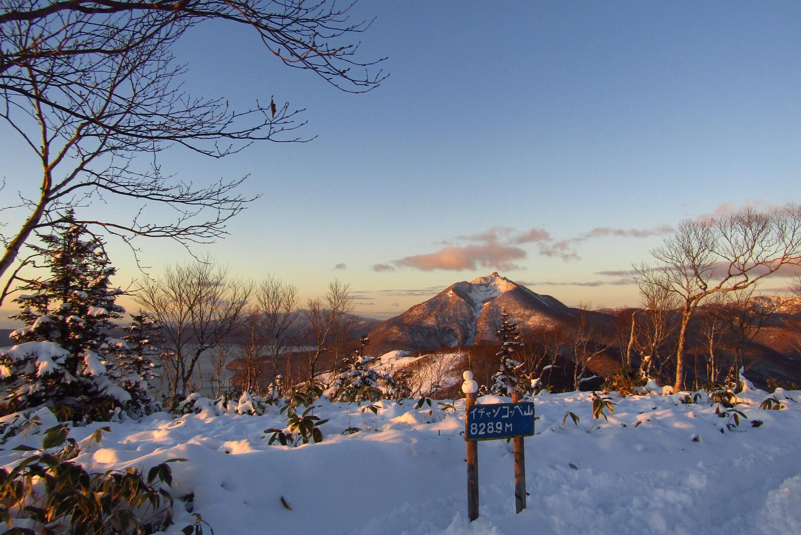 休日散歩、久しぶりにイチャン～幌平山。 / テルさんのイチャンコッペ山の活動データ | YAMAP / ヤマップ