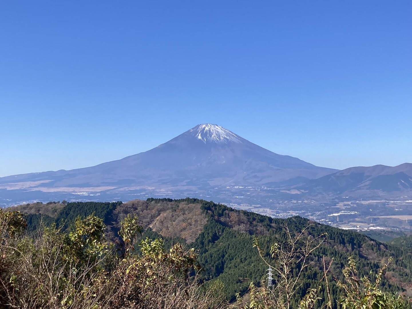 ハイキング：谷峨駅〜清水越〜矢倉岳〜矢倉沢BP / ぜんぜんさんの矢倉岳の活動データ | YAMAP / ヤマップ