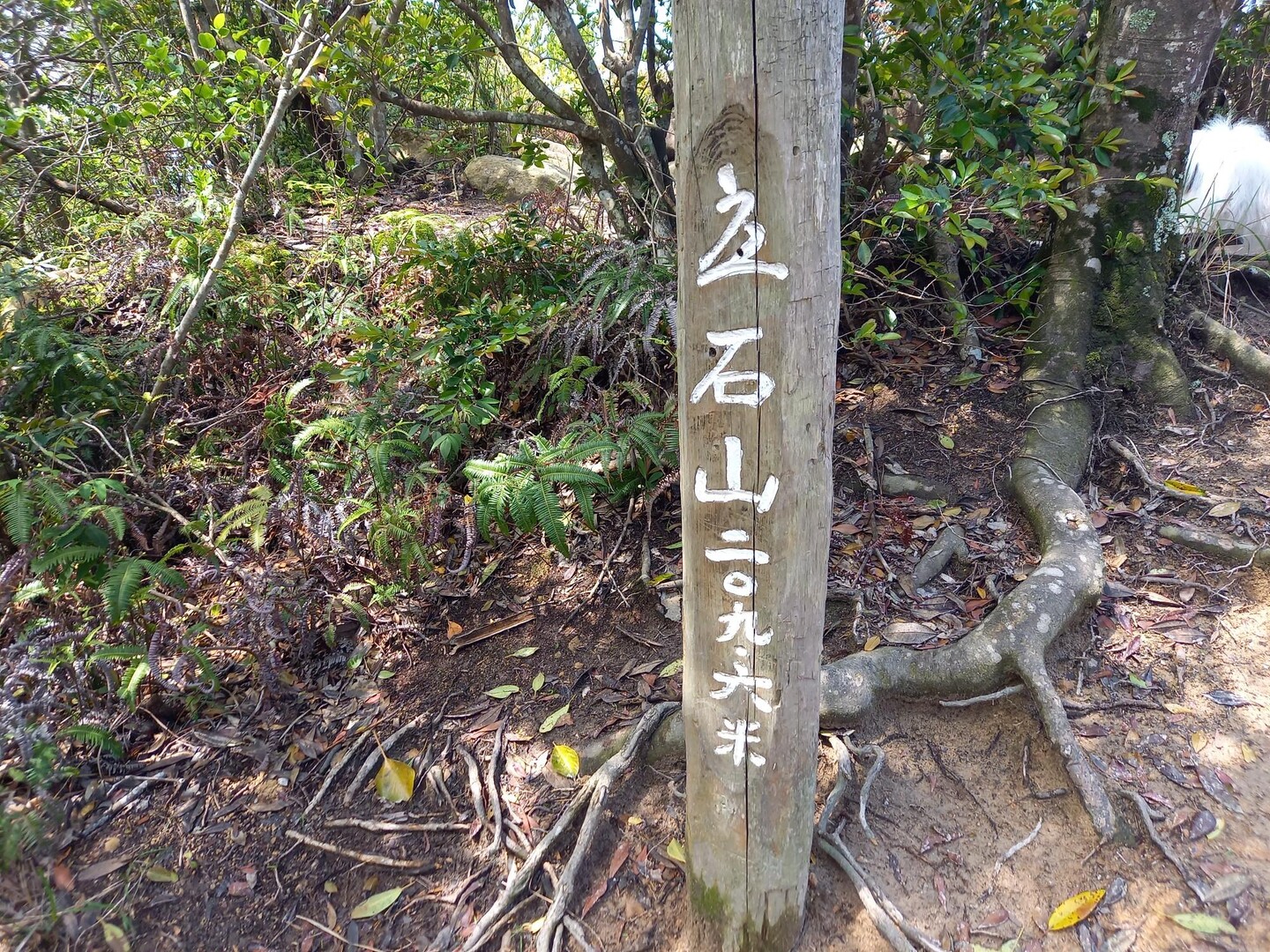 立石山 / Mr.OHOさんの立石山の活動日記 | YAMAP / ヤマップ