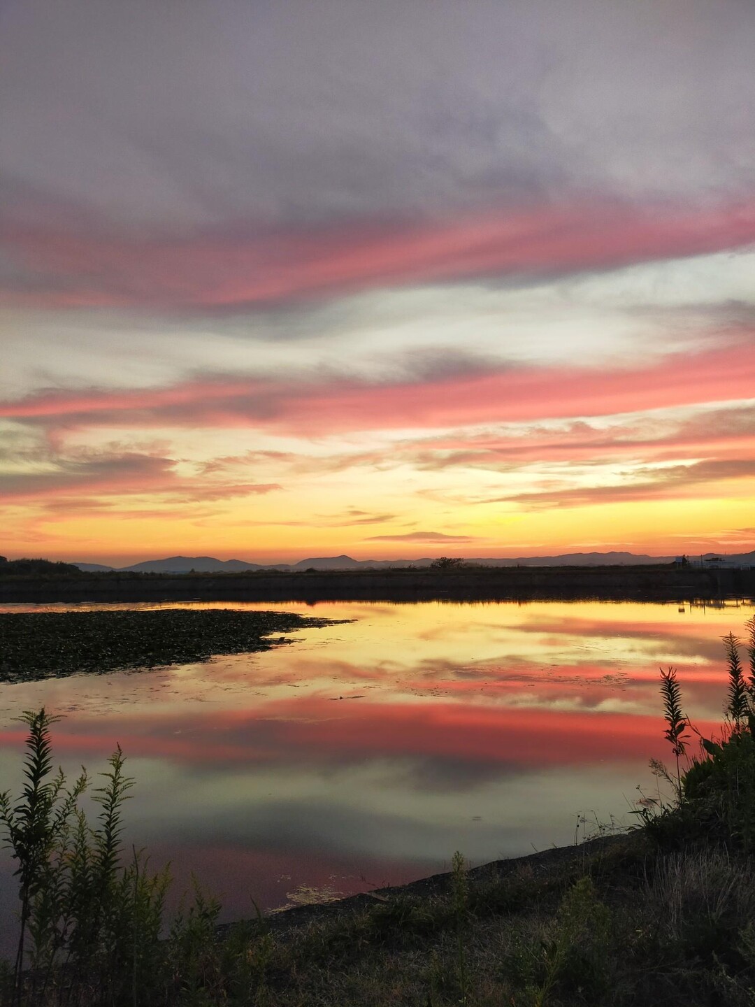 幻想的で綺麗だったので📸‼️ / Route 66さんのモーメント | YAMAP / ヤマップ