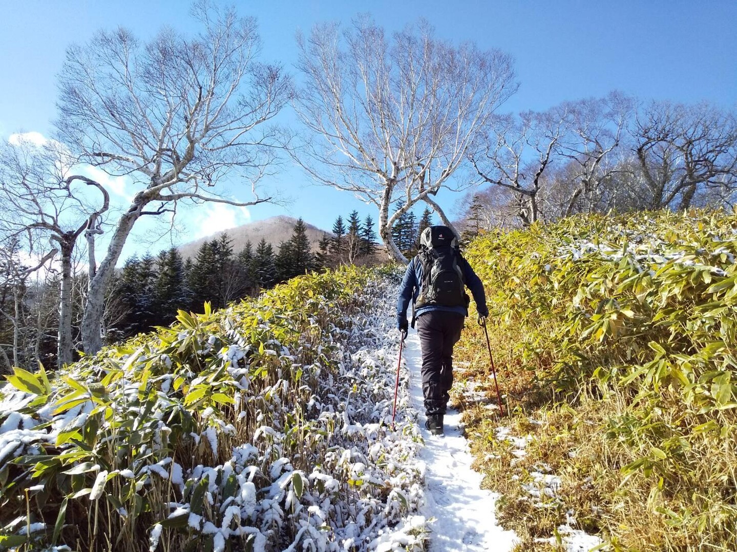 オダッシュ山 / おじキツネさんのオダッシュ山の活動データ | YAMAP / ヤマップ