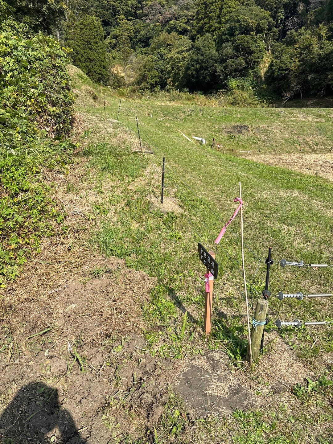 mskふぅさんの投稿したフィールドメモ | YAMAP / ヤマップ