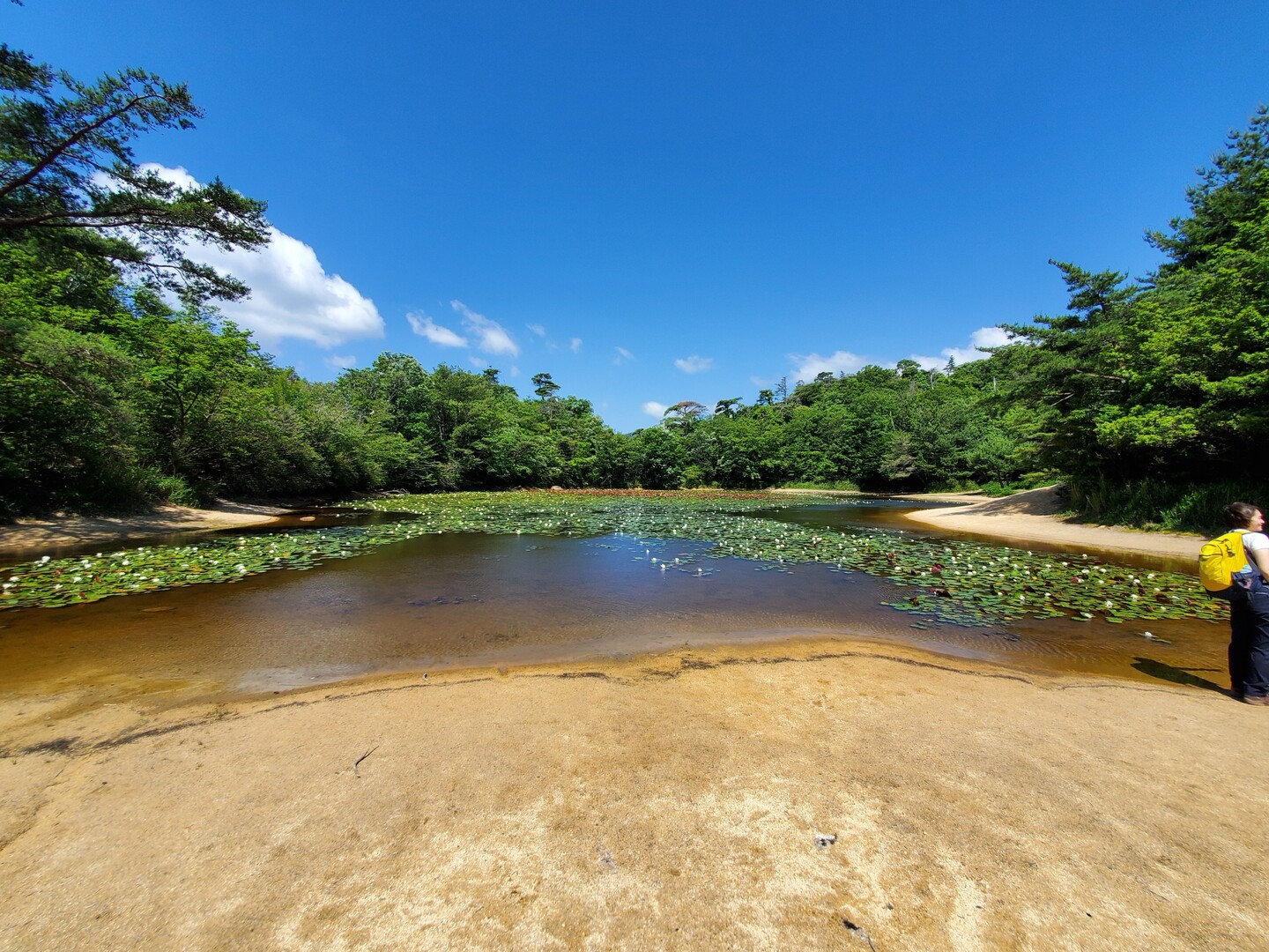 芦屋ロックガーデンから六甲山最高峰931mへ / あまやんさんの六甲山・長峰山・摩耶山の活動日記 | YAMAP / ヤマップ