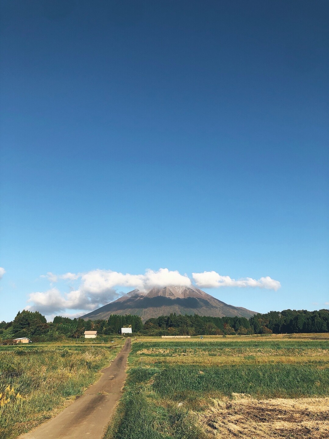 大山（鳥取県）2020-10-26 / おちわさんの大山・甲ヶ山・野田ヶ山の活動データ | YAMAP / ヤマップ