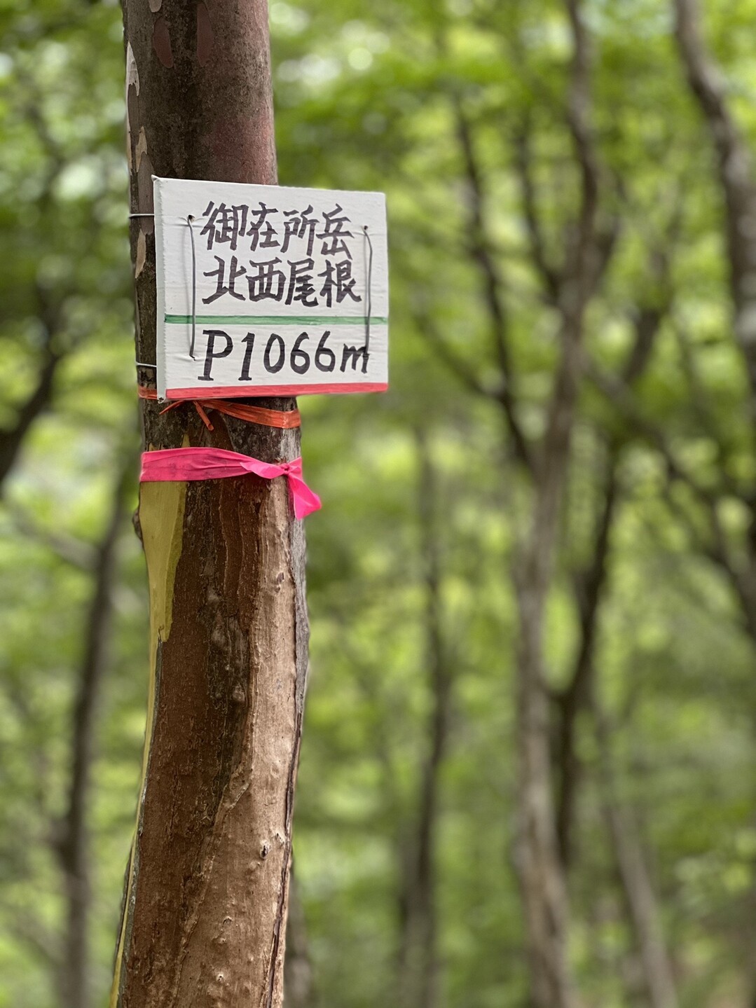 ヤマップのアプリが未だに使いこなせてない... / Mt.Gさんのモーメント | YAMAP / ヤマップ