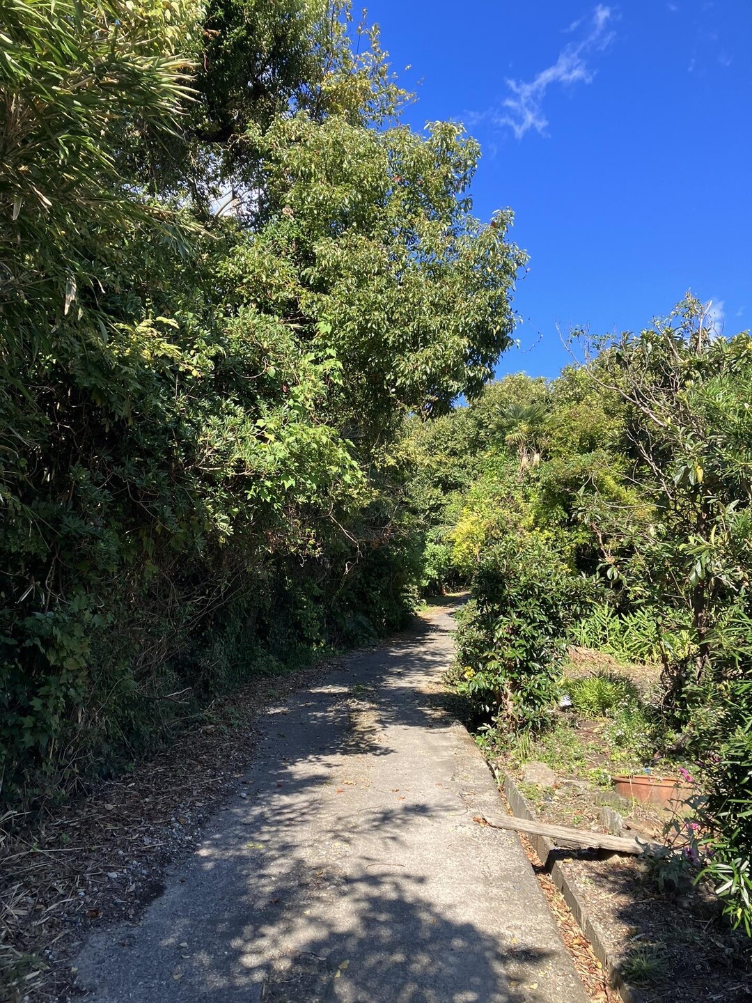 秋葉山1 / senさんの佐久島の活動データ | YAMAP / ヤマップ