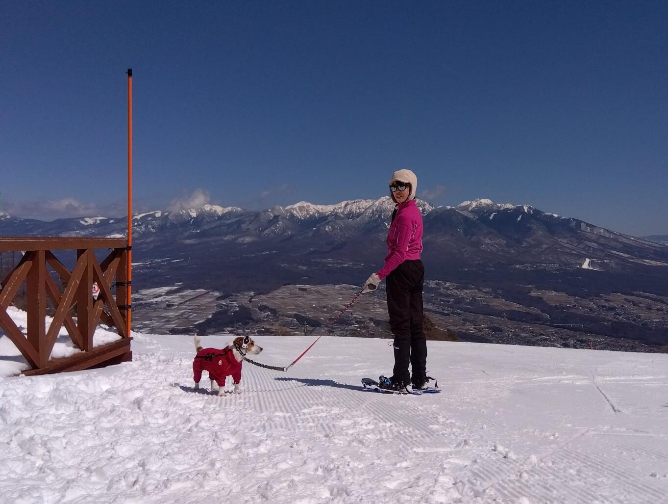 入笠山🎿ｽﾉｰｼｭｰﾊｲｷﾝｸﾞ⛄ / Veenaさんの入笠山の活動データ | YAMAP / ヤマップ