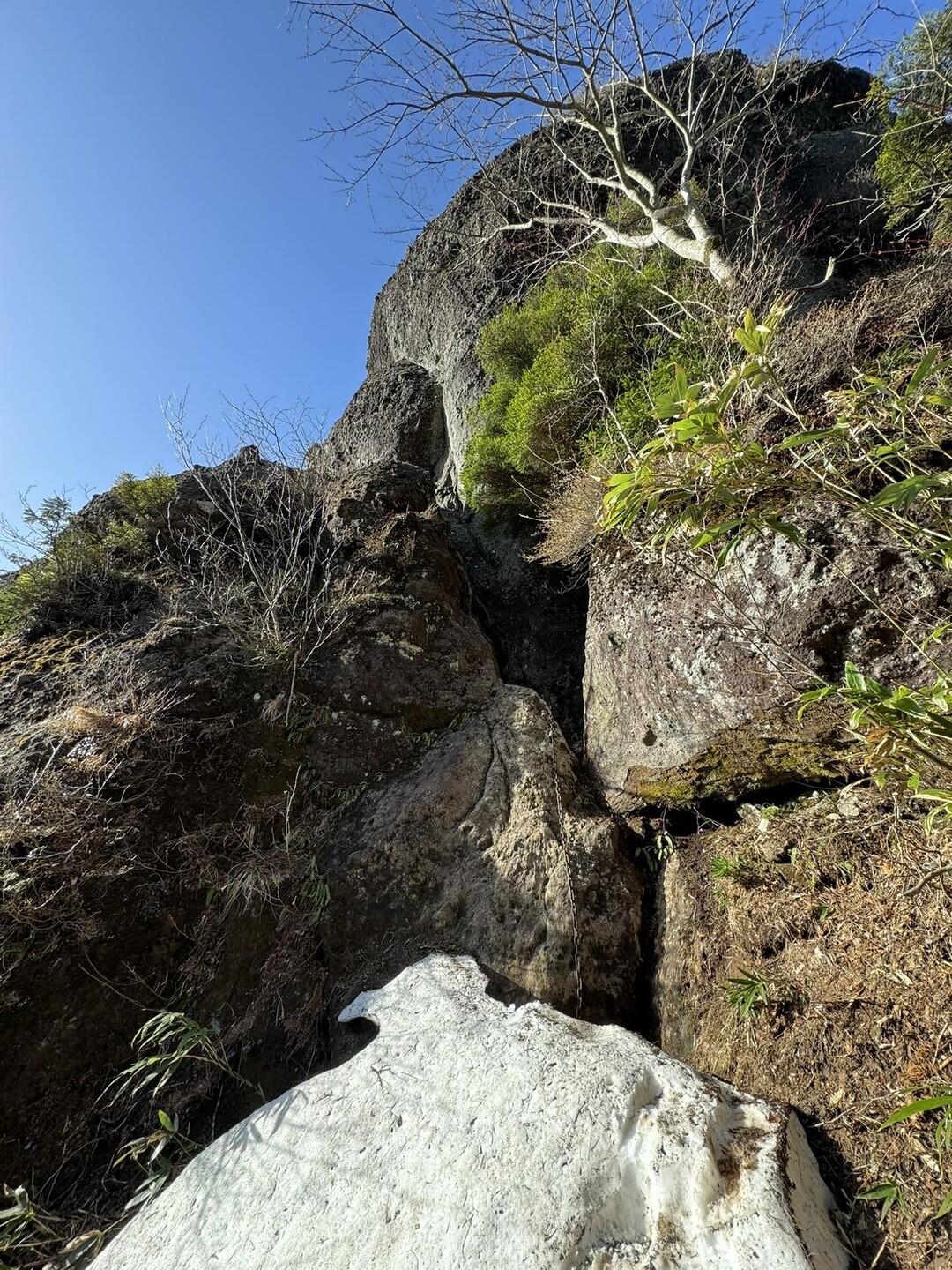 Shin5さんの投稿したフィールドメモ | YAMAP / ヤマップ